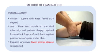 PRESENTATION ON ARTERIAL PULSE (FOR DOCTORS) | PPTX