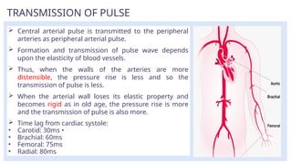 PRESENTATION ON ARTERIAL PULSE (FOR DOCTORS) | PPTX