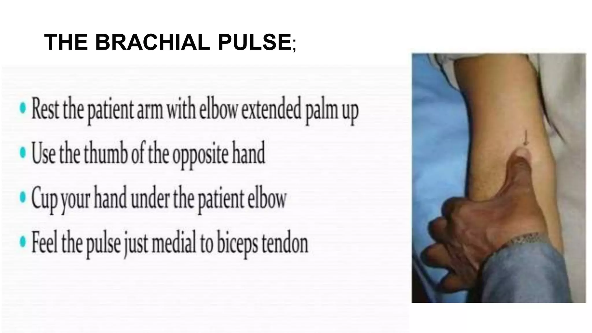 ARTERIAL PULSES.pptx