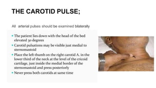 ARTERIAL PULSES.pptx