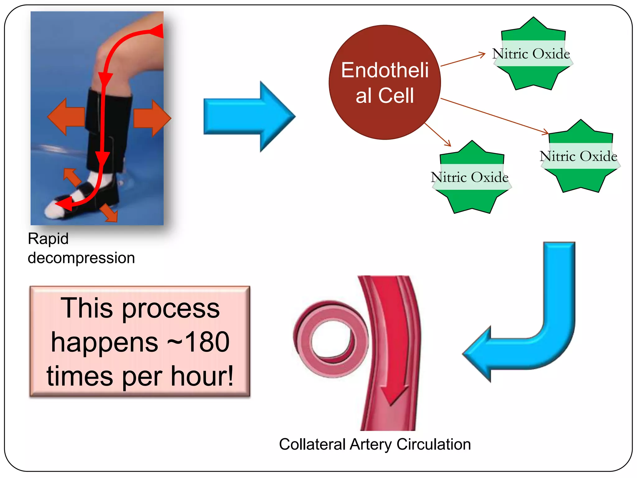 Importance of Arterial Pump Compression & Decompression Rates | PPTX ...