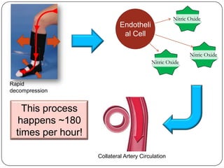 Importance of Arterial Pump Compression & Decompression Rates | PPTX ...