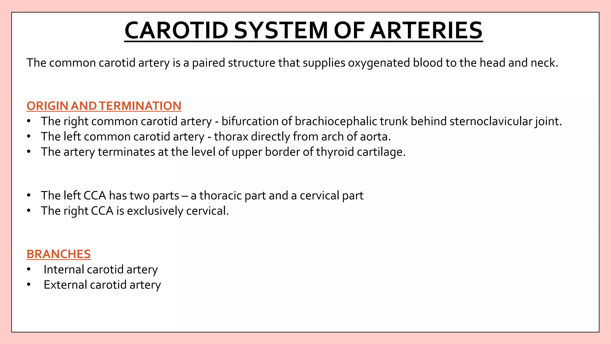 Arterial supply of the head and neck | PPTX