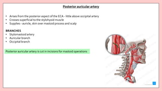 Arterial supply of the head and neck | PPTX