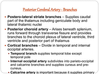 Arterial supply of brain | PPTX