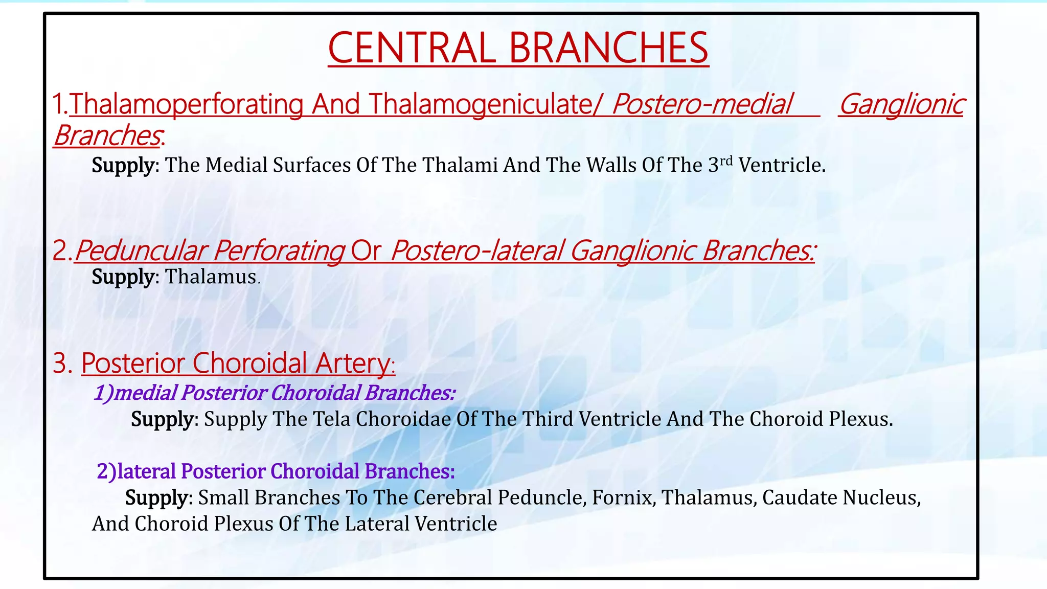 RADIOLOGICAL ANATOMY OF ARTERIAL SUPPLY OF BRAIN | PPTX