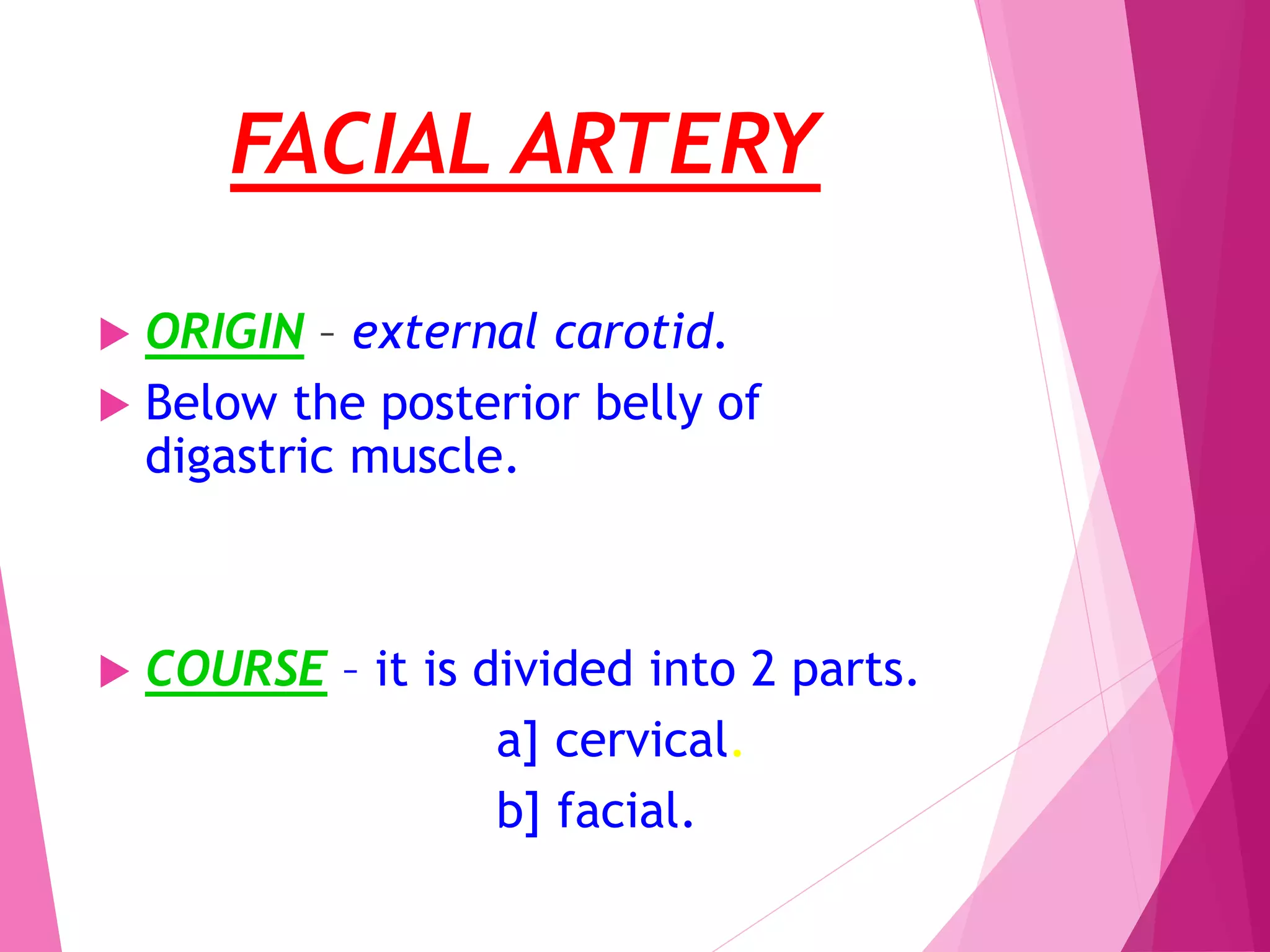 Arterial supply of face | PPTX | Thyroid Disorders | Endocrine and Metabolic Diseases