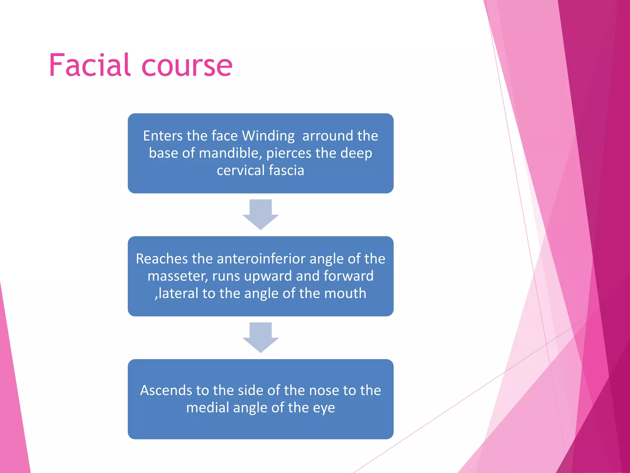 Arterial supply of face | PPTX