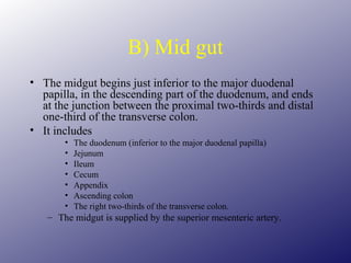 Arterial supply of gut | PPT