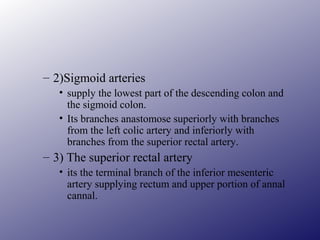 Arterial supply of gut | PPT