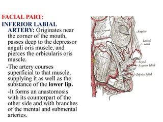 Arterial supply of head and neck | PPTX