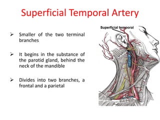 Arterial supply of head and neck | PPTX