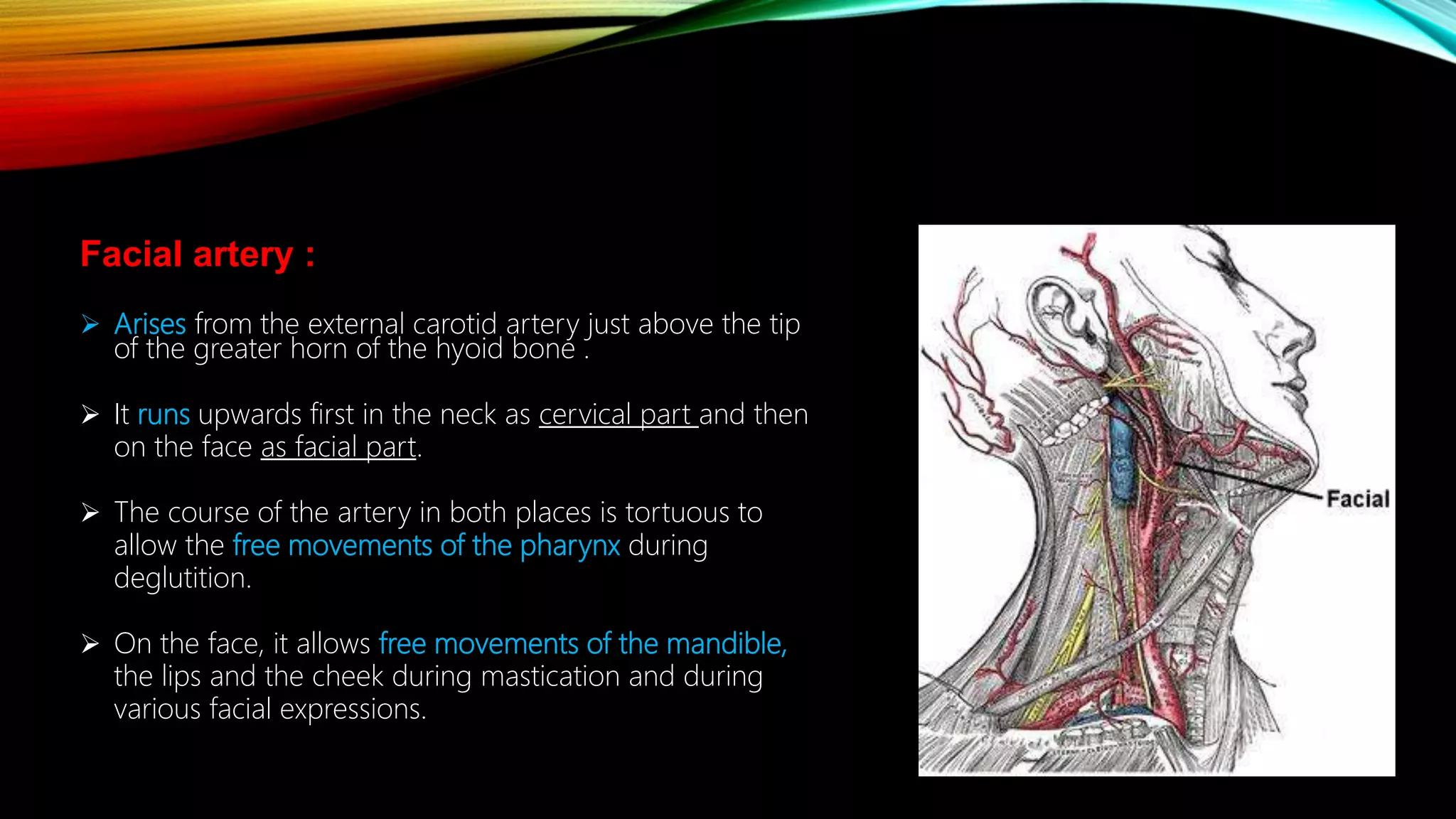 Blood supply of head and neck | PPTX