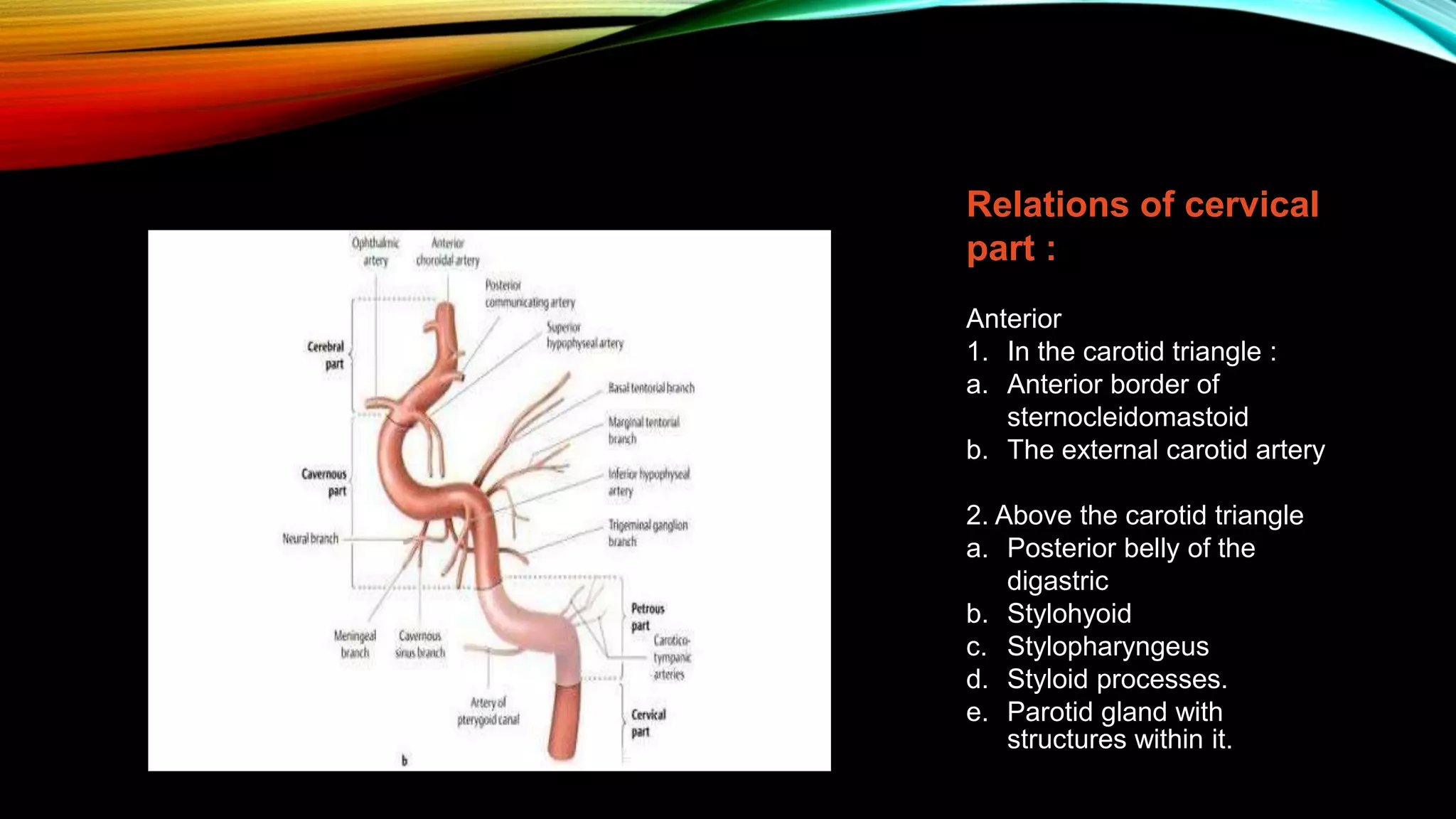 Blood supply of head and neck | PPTX