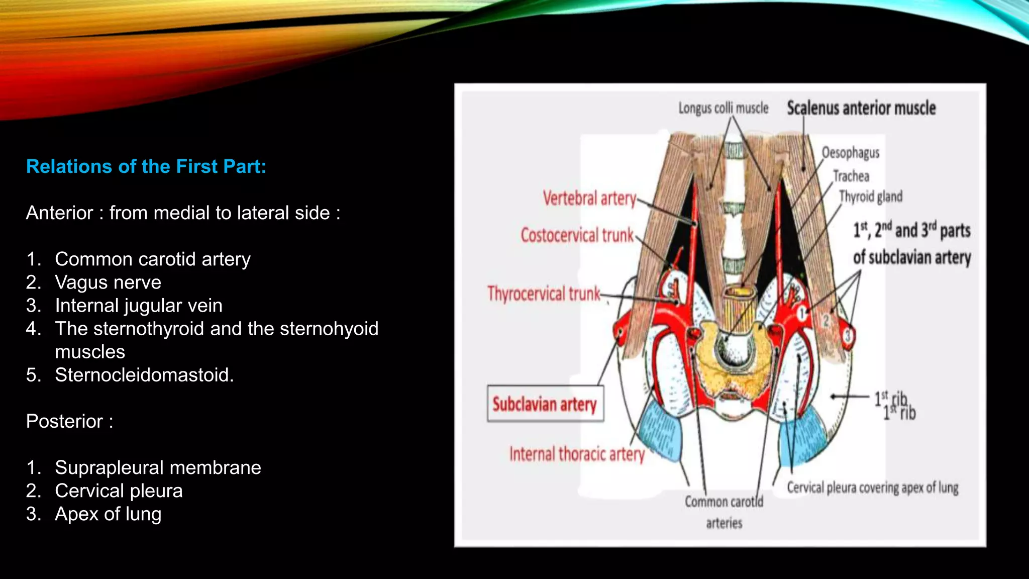 Blood supply of head and neck | PPTX