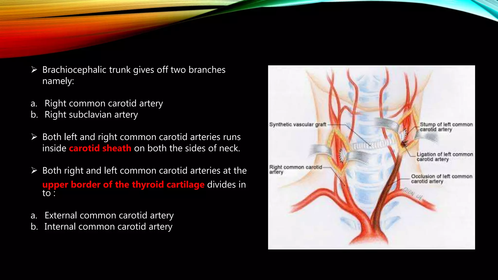 Blood supply of head and neck | PPTX