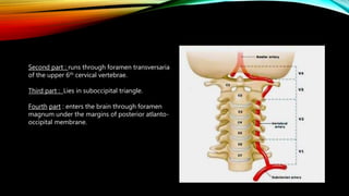Blood supply of head and neck | PPTX
