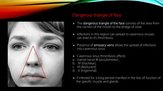 Blood supply of head and neck | PPTX