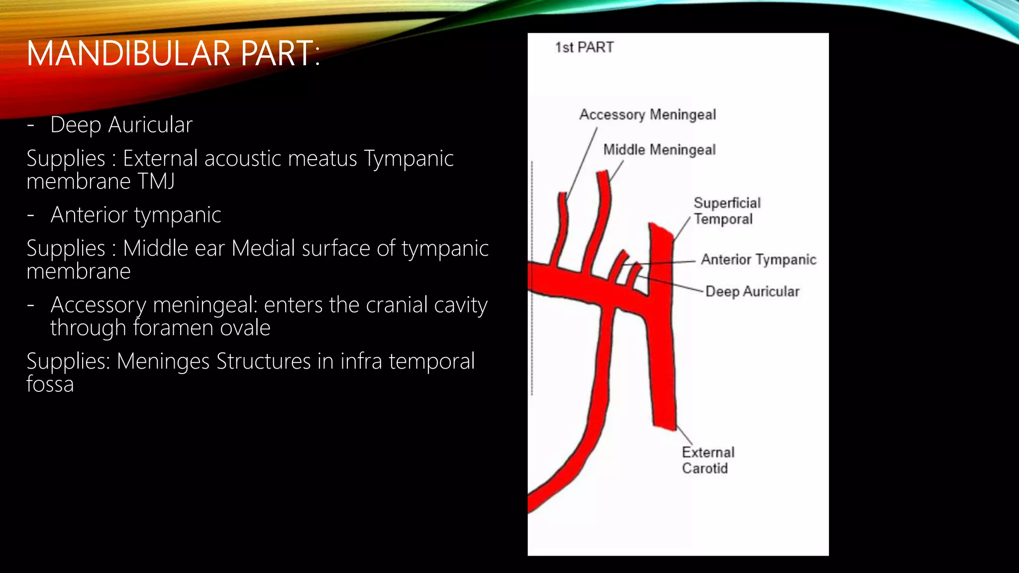 Arterial supply of head and neck | PPTX
