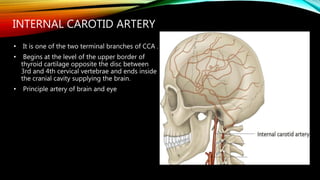 Arterial supply of head and neck | PPTX