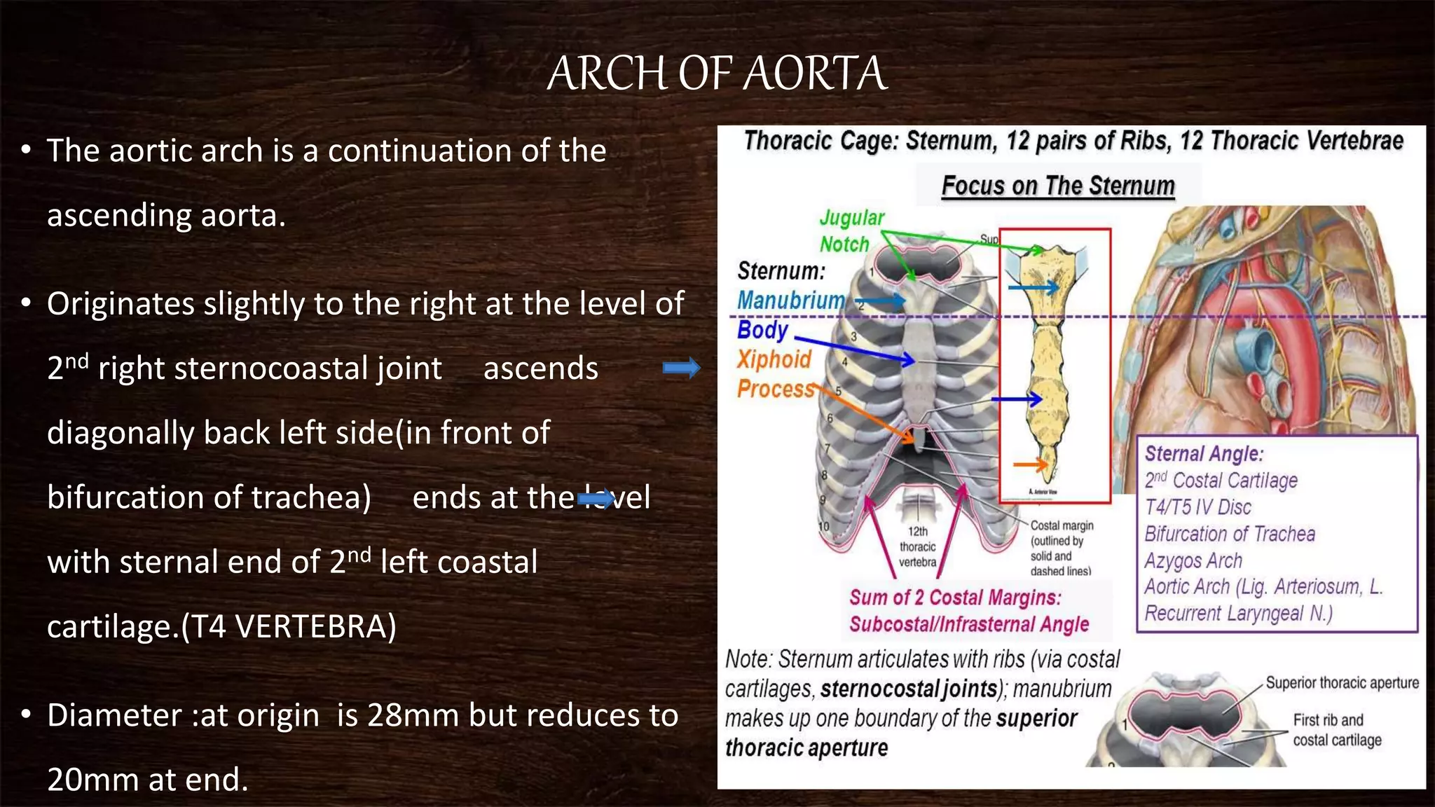 Arterial supply of head and neck | PPTX