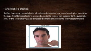 Arterial supply of head and neck | PPTX