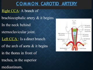 Arterial supply of head and neck and ligation.pptx
