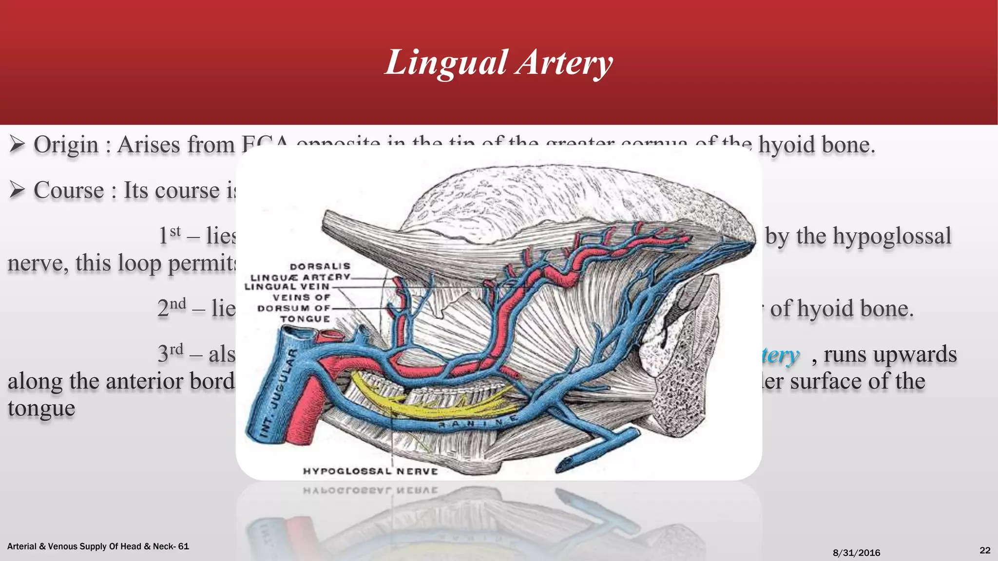 Arterial supply & venous drainage of head and neck manohar | PPTX