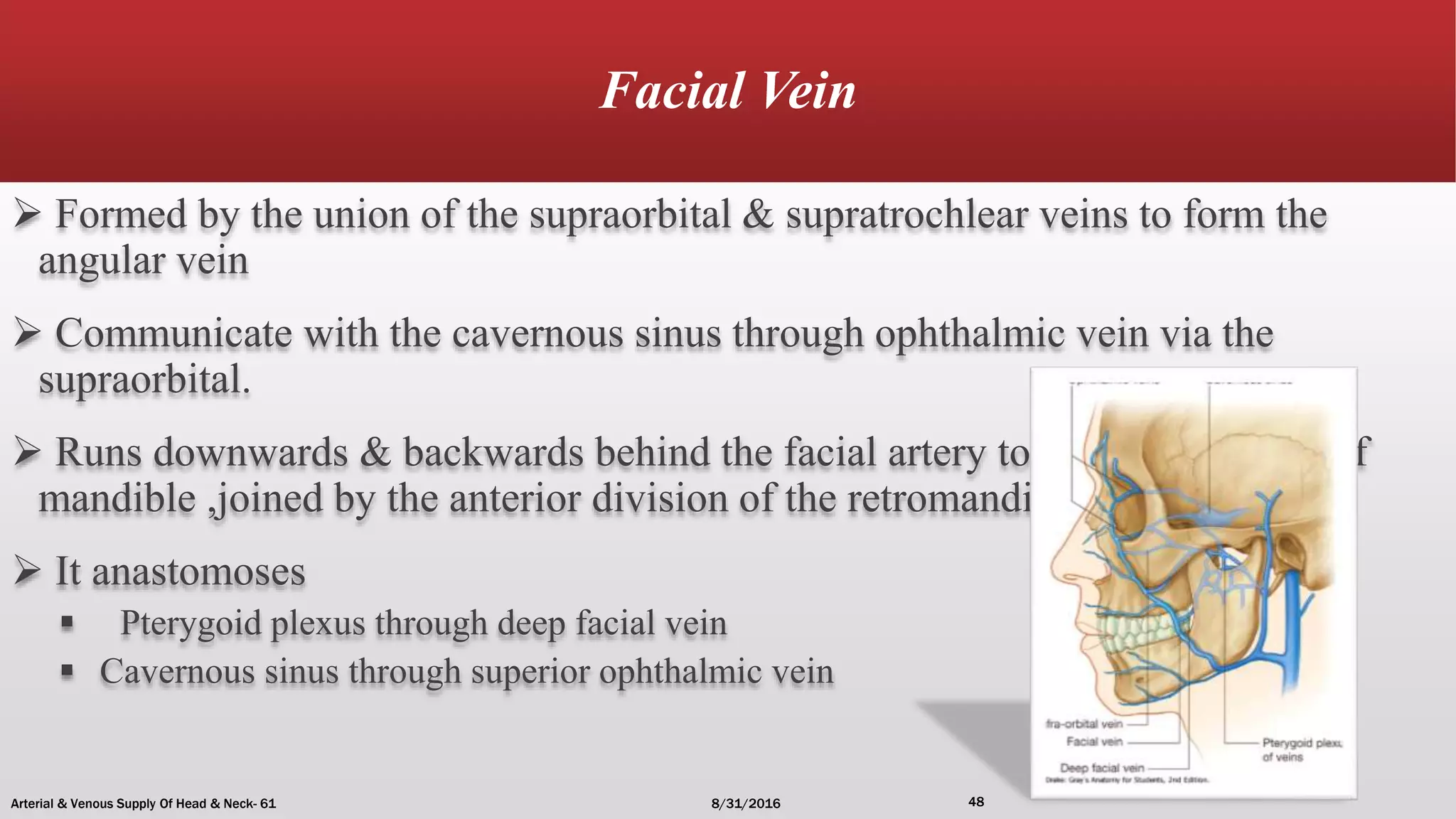 Arterial supply & venous drainage of head and neck manohar | PPTX