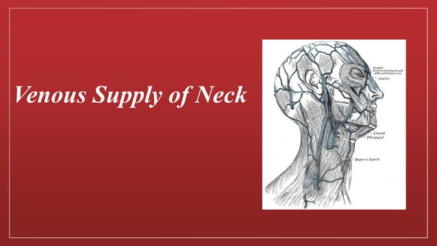 Arterial supply & venous drainage of head and neck manohar | PPTX