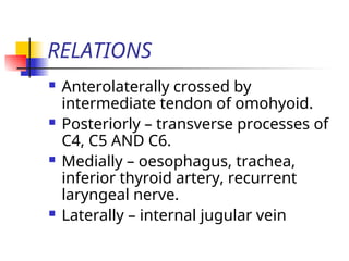 ARTERIAL SUPPLY OF HEAD AND NECK SHISHIR FINAL.ppt
