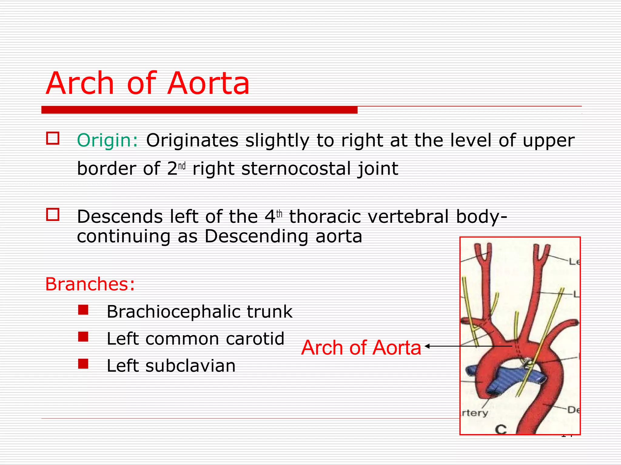 Arterial supply of head and neck | PPT