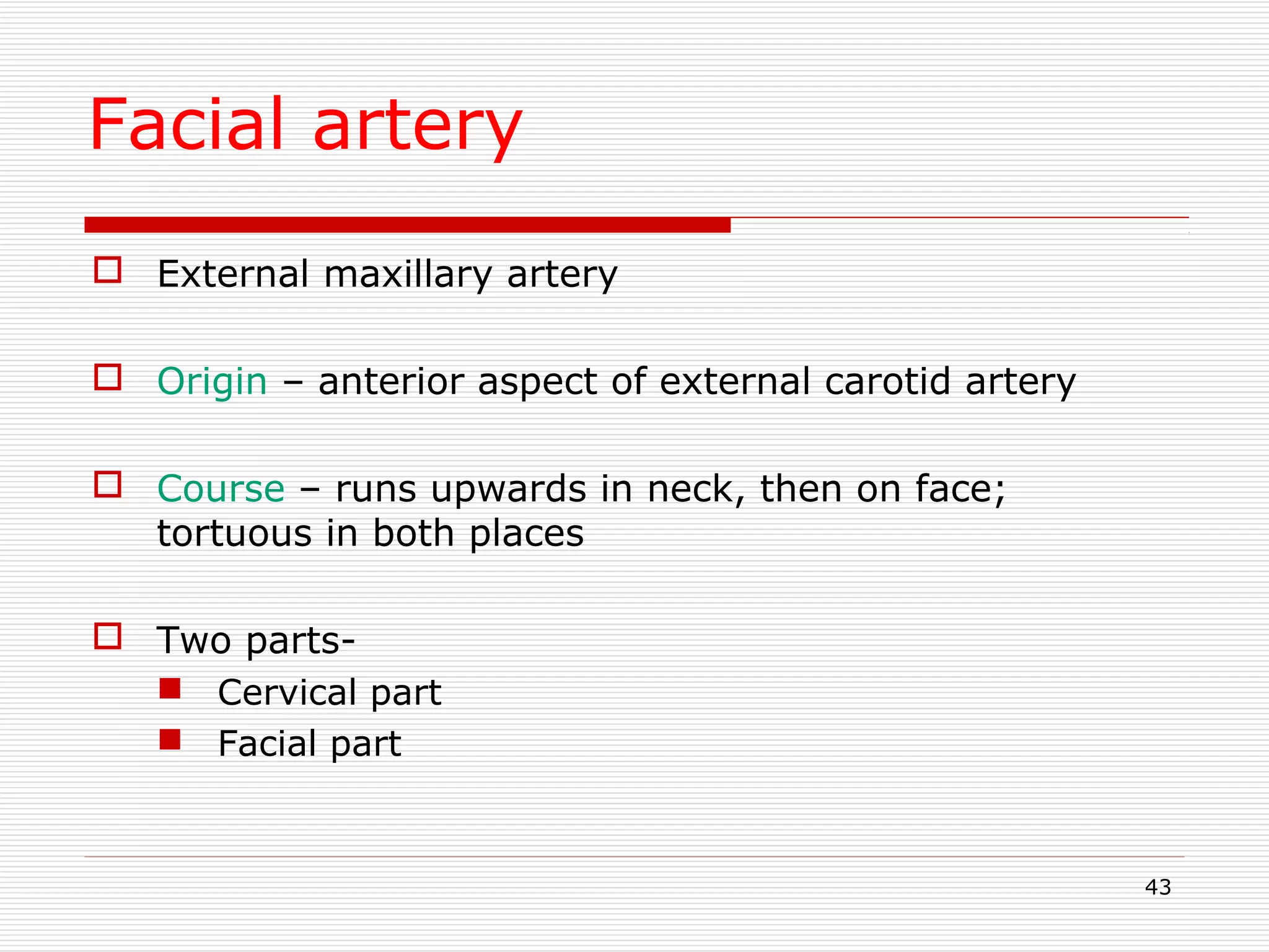 Arterial supply of head and neck | PPT
