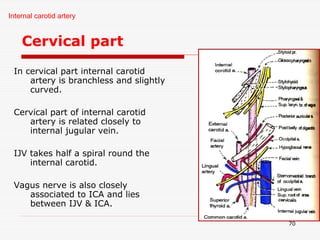 Arterial supply of head and neck | PPT