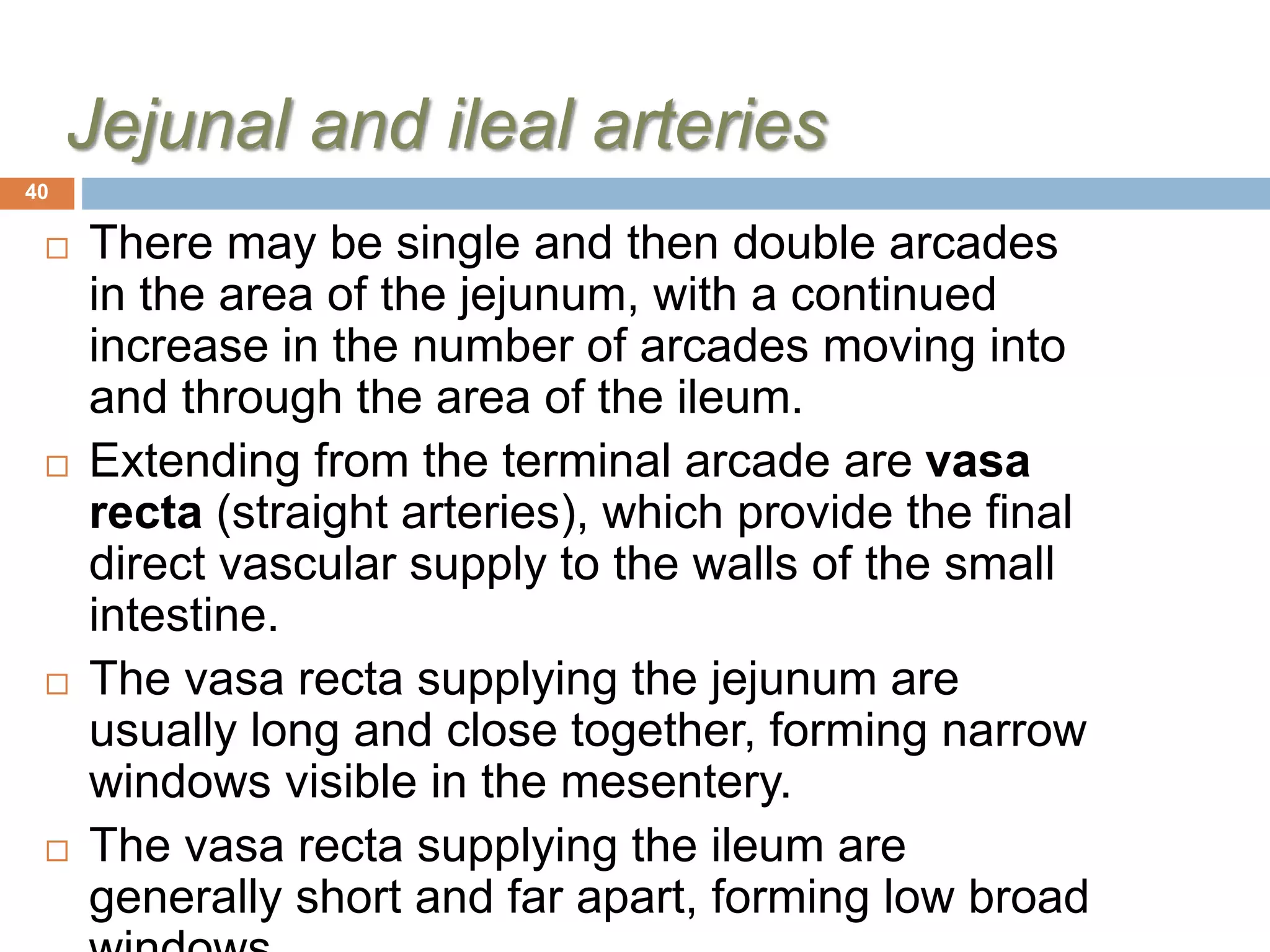 Arterialsupplyoftheabdomen aorta- | PPTX