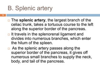 Arterialsupplyoftheabdomen aorta- | PPTX