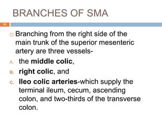 Arterialsupplyoftheabdomen aorta- | PPTX