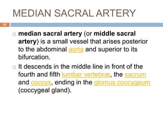 Arterialsupplyoftheabdomen aorta- | PPTX