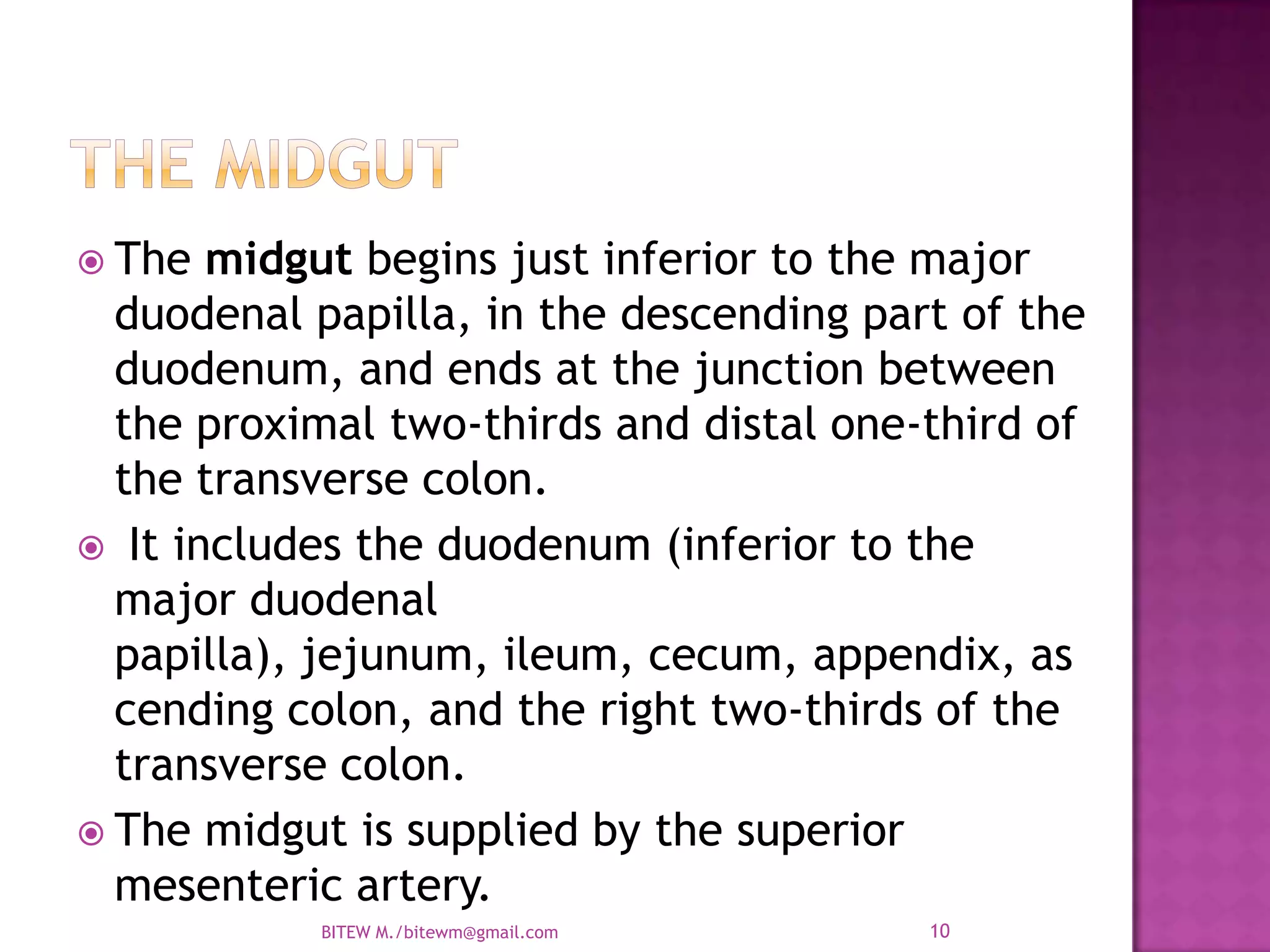 Arterial supply of the Abdomen : Abdominal Aorta | PPTX