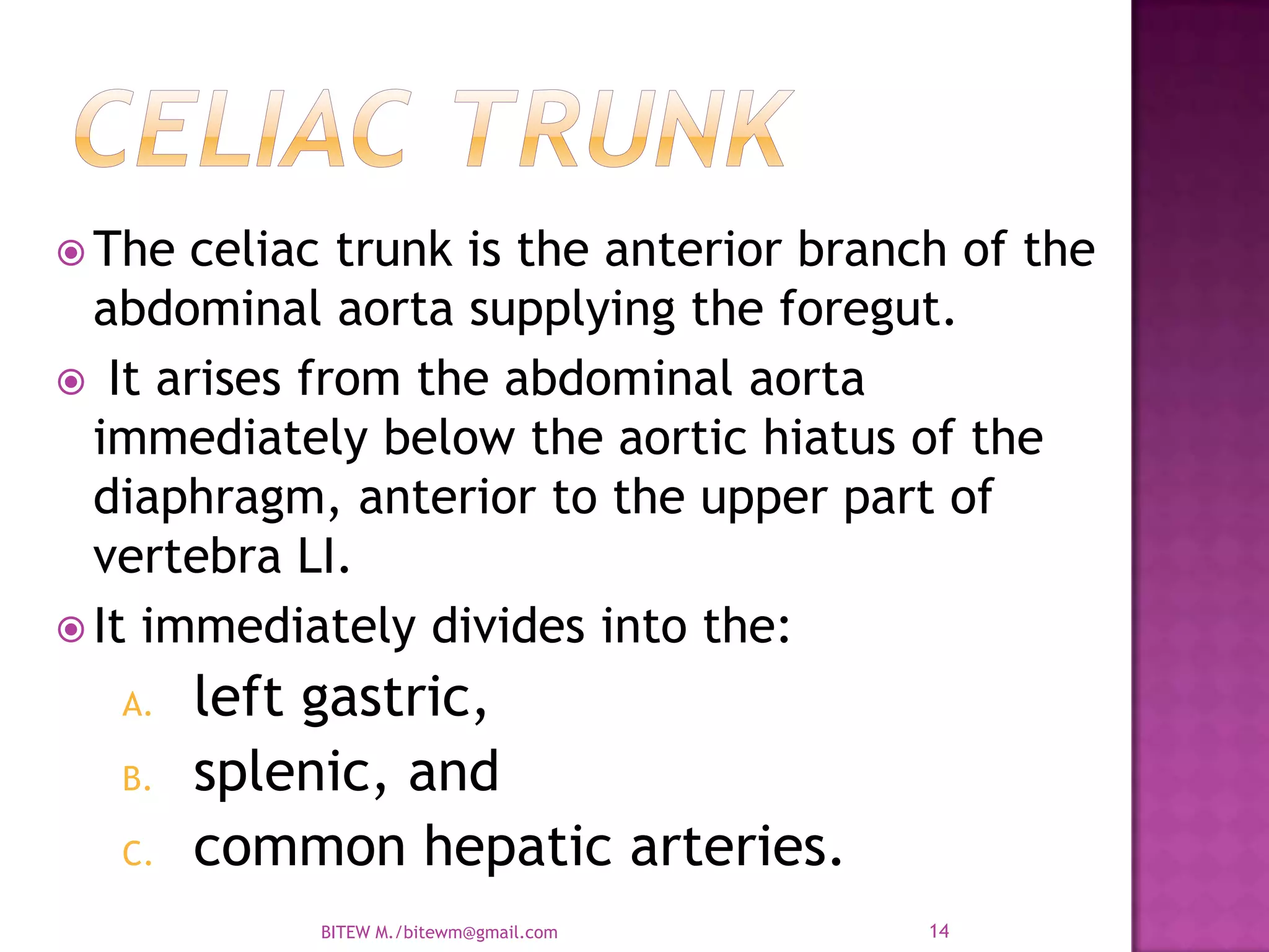 Arterial supply of the Abdomen : Abdominal Aorta | PPTX