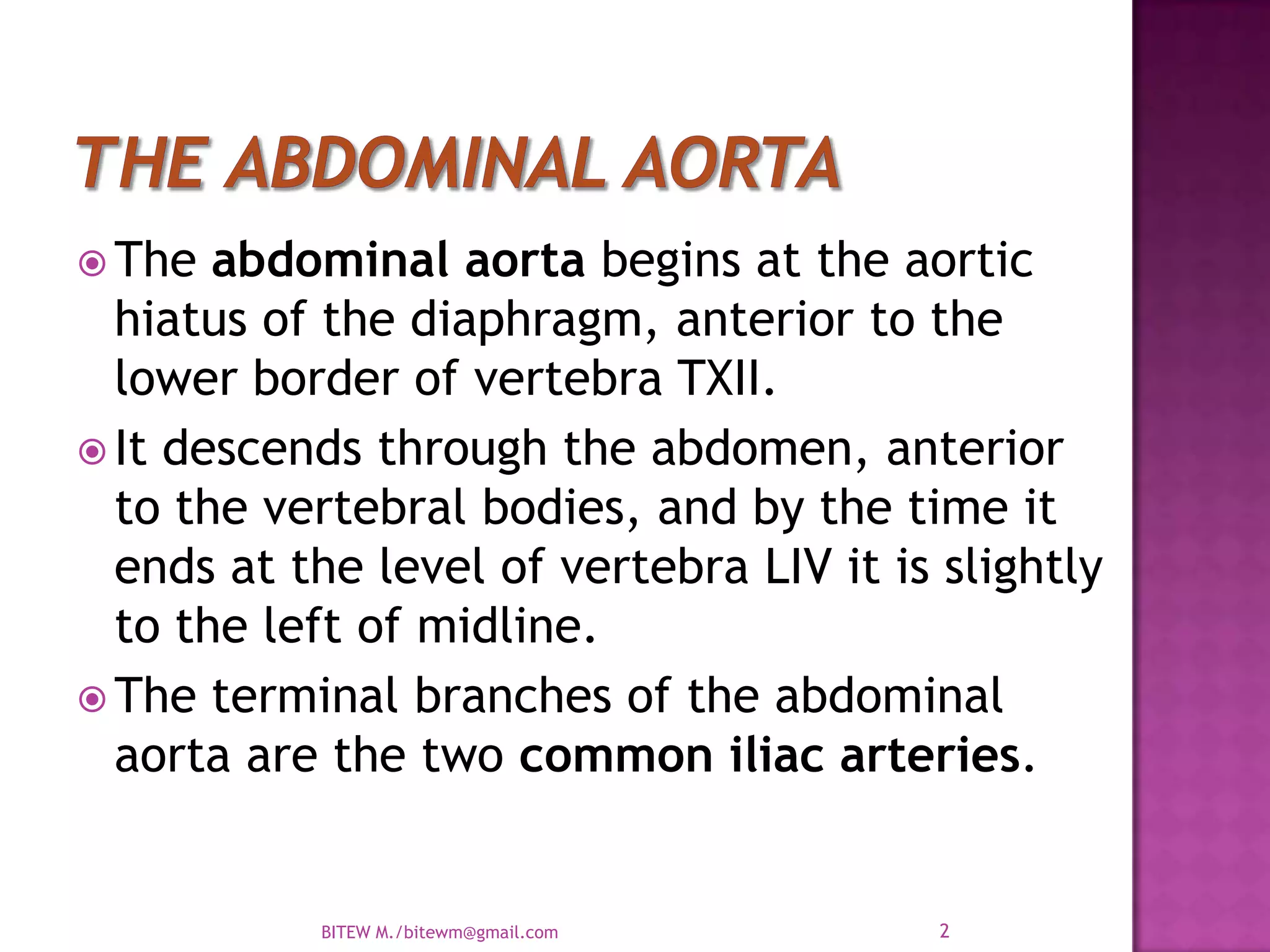 Arterial supply of the Abdomen : Abdominal Aorta | PPTX