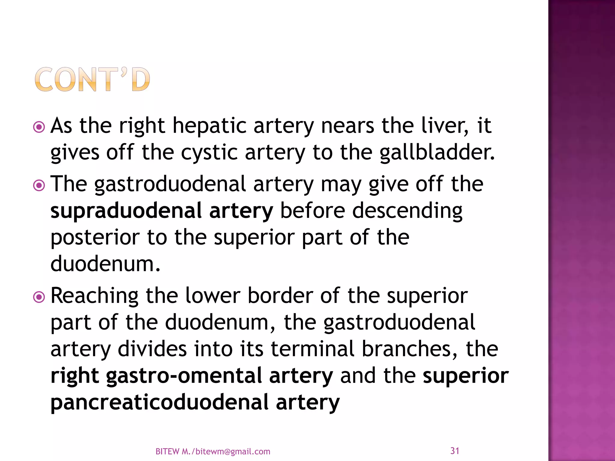 Arterial supply of the Abdomen : Abdominal Aorta | PPTX