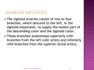 Arterial supply of the Abdomen : Abdominal Aorta | PPTX