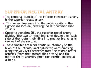 Arterial supply of the Abdomen : Abdominal Aorta | PPTX