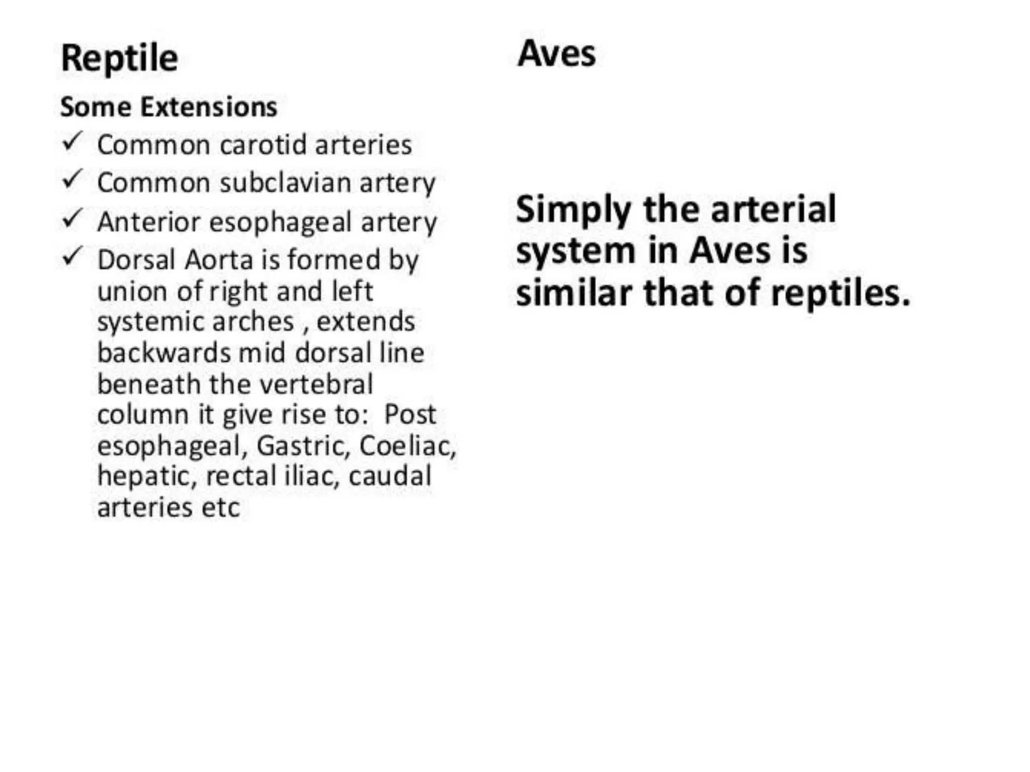 Arterial System Reptiles.pptx | Heart and Cardiovascular Diseases ...