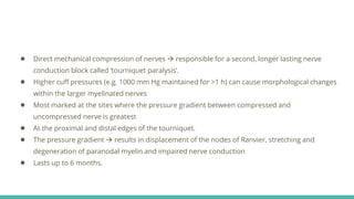 Arterial tourniquet | PPTX | First Aid | Injuries
