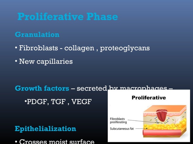 Arterial ulcers by joel arudchelvam | PPT | Skin and Dermatology ...