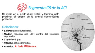 Arteria oftalmica | PPTX