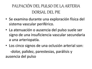 arterias y venas del pie | PPTX