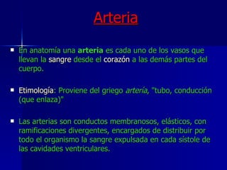 Arterias miembros inferior | PPT